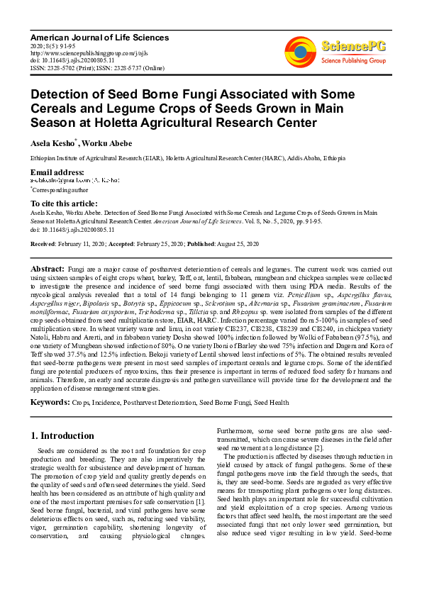 (PDF) Detection of Seed Borne Fungi Associated with Some Cereals and ...