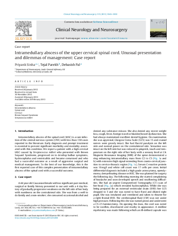 (PDF) Intramedullary abscess of the upper cervical spinal cord. Unusual presentation and ...