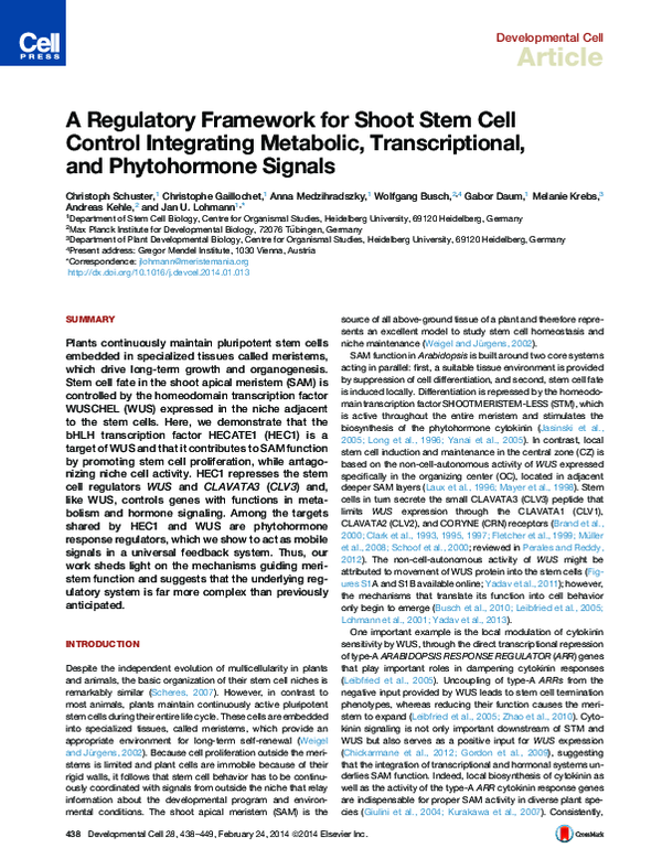 (PDF) A Regulatory Framework for Shoot Stem Cell Control Integrating ...
