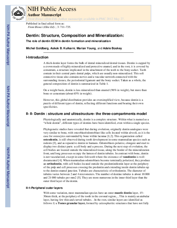 (PDF) Dentin structure composition and mineralization