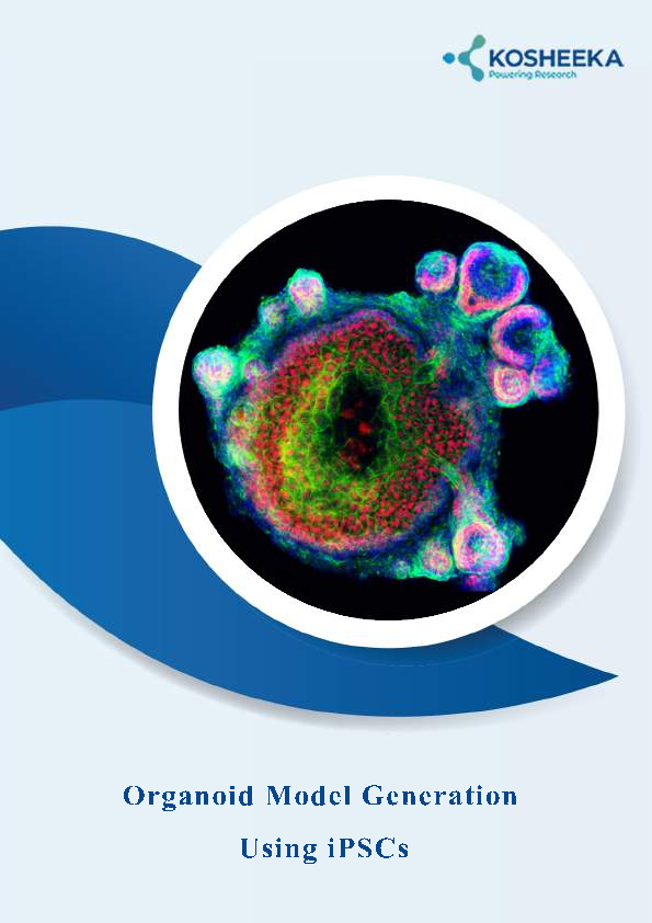 (PDF) Organoid Model Generation Using iPSCs