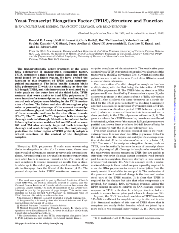 (PDF) Yeast Transcript Elongation Factor (TFIIS), Structure and Function