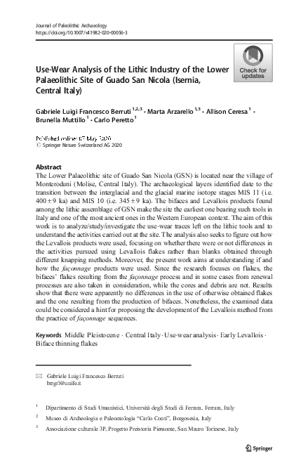 (PDF) Use-Wear Analysis of the Lithic Industry of the Lower ...