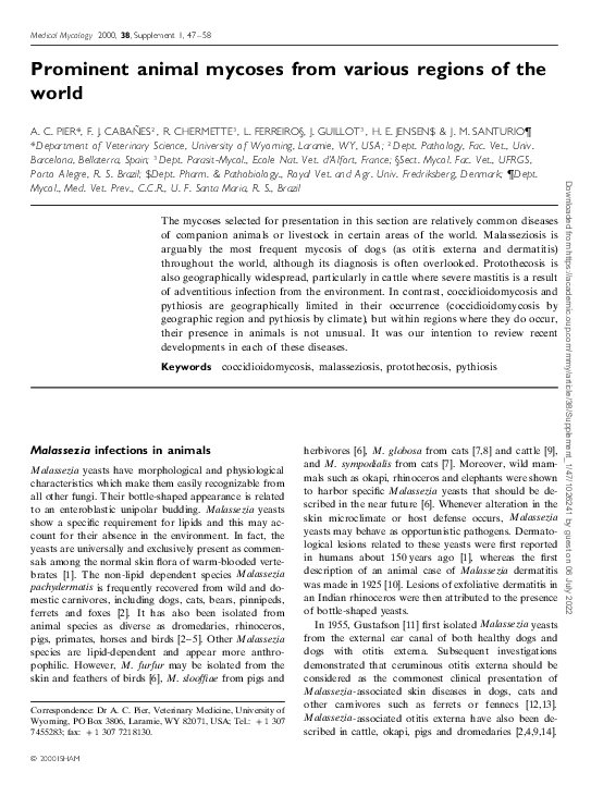 (PDF) Prominent animal mycoses from various regions of the world