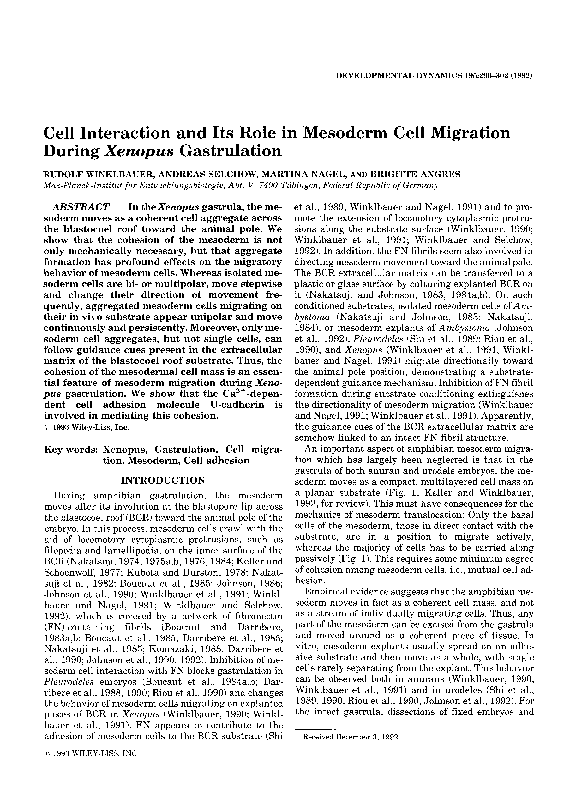 (PDF) Cell interaction and its role in mesoderm cell migration during ...