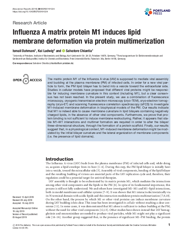 (PDF) Influenza A matrix protein M1 is sufficient to induce lipid ...