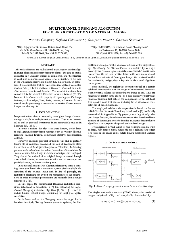(PDF) Multichannel Bussgang algorithm for blind restoration of natural images