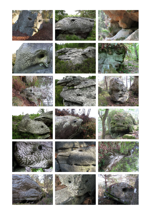 (PDF) Fontainebleau Petrified Creatures