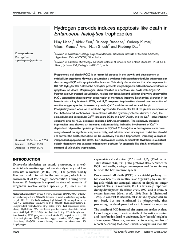 (PDF) Hydrogen peroxide induces apoptosis-like death in Entamoeba ...