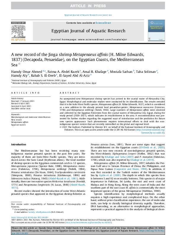 (PDF) A new record of the Jinga shrimp Metapenaeus affinis (H. Milne ...