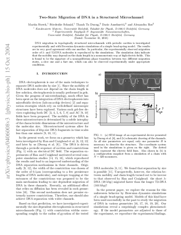 (PDF) Two-state migration of DNA in a structured microchannel