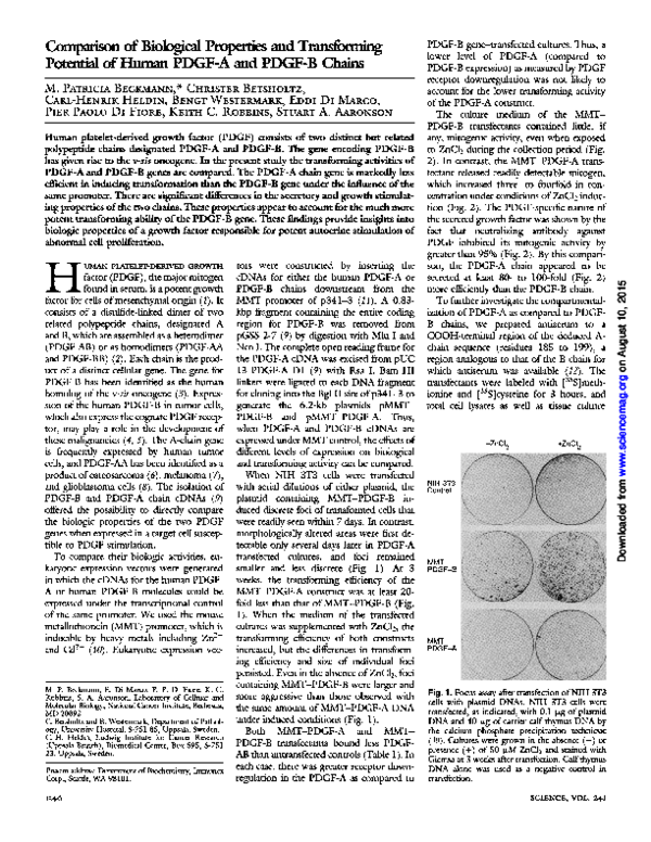 (PDF) Comparison of Biological Properties and Transforming Potential of ...