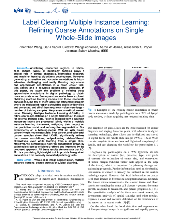 (PDF) Label Cleaning Multiple Instance Learning: Refining Coarse Annotations on Single Whole ...