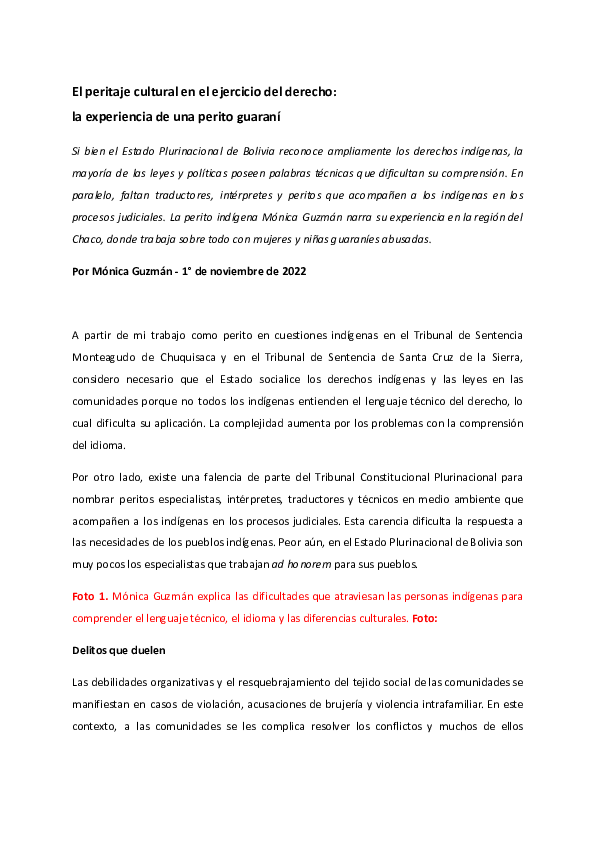 (PDF) El peritaje cultural en el ejercicio del derecho: la experiencia ...