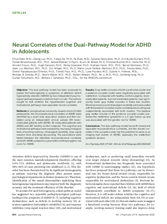 (PDF) Neural Correlates of ADHD's Dual-Pathway Model