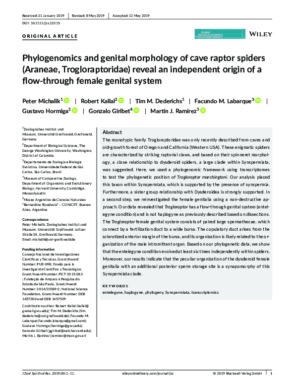 (PDF) Phylogenomics and genital morphology of cave raptor spiders ...