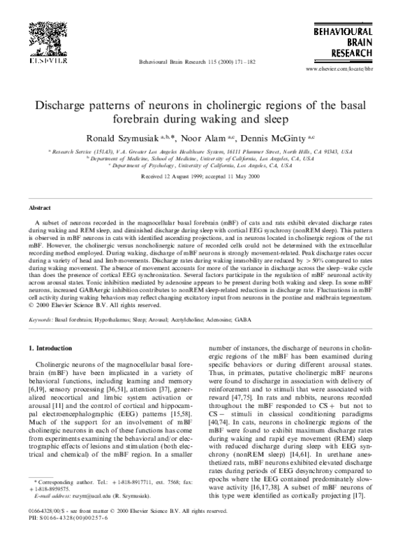 (PDF) Neuronal Discharge Patterns in Basal Forebrain During Sleep/Wake