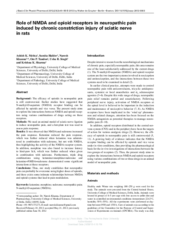 (PDF) Role of NMDA and opioid receptors in neuropathic pain induced by ...