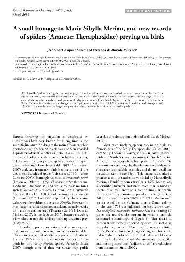 (PDF) A small homage to Maria Sibylla Merian, and new records of ...