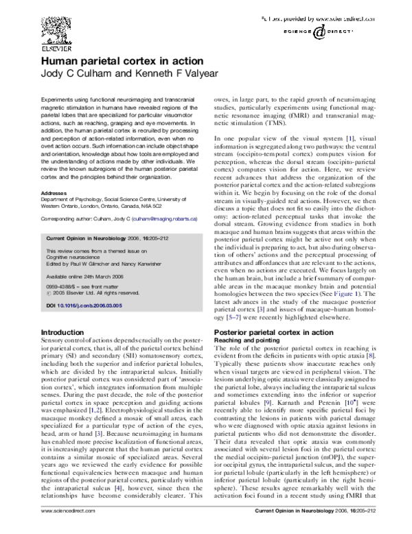 (PDF) Human parietal cortex in action