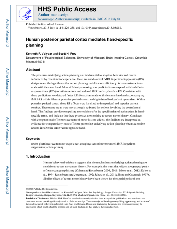 (PDF) Human posterior parietal cortex mediates hand-specific planning