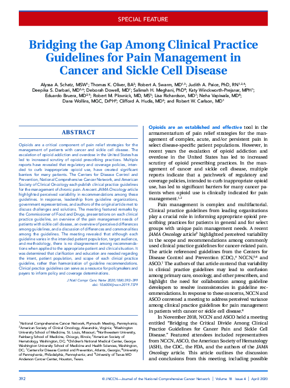 (PDF) Bridging the Gap Among Clinical Practice Guidelines for Pain ...
