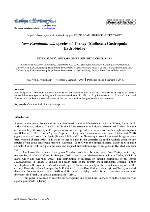 (PDF) New Pseudamnicola Species of Turkey (Mollusca: Gastropoda: Hydrobiidae)