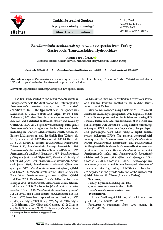 (PDF) Pseudamnicola sumbasensis sp. nov., a new species from Turkey ...