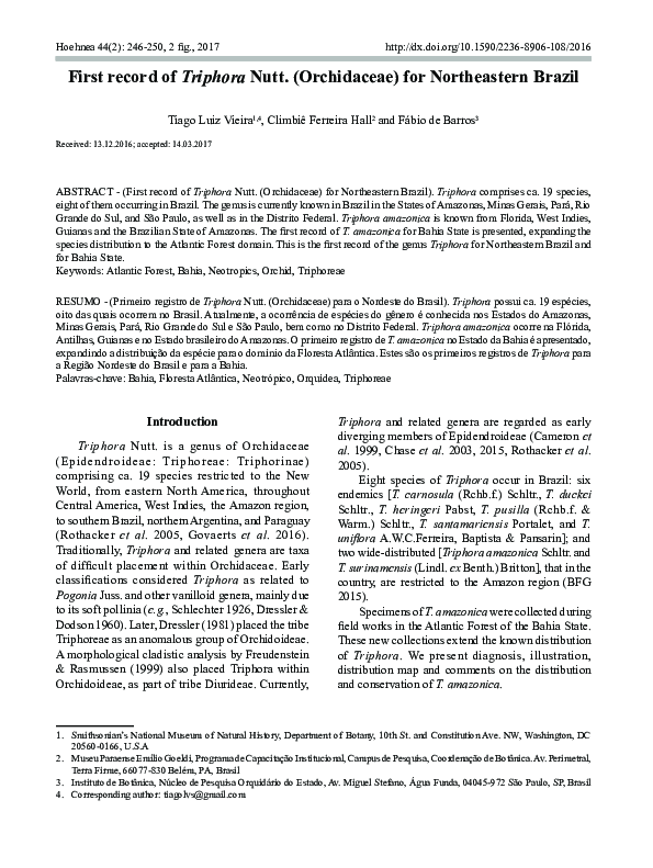 (PDF) First record of Triphora Nutt. (Orchidaceae) for Northeastern ...