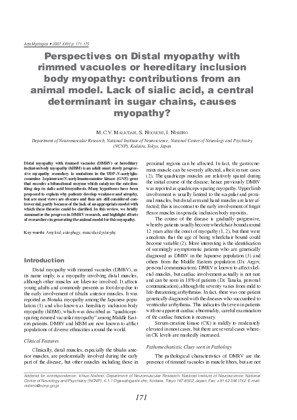 (PDF) Perspectives on distal myopathy with rimmed vacuoles or ...