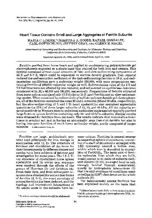 (PDF) Heart tissue contains small and large aggregates of ferritin subunits