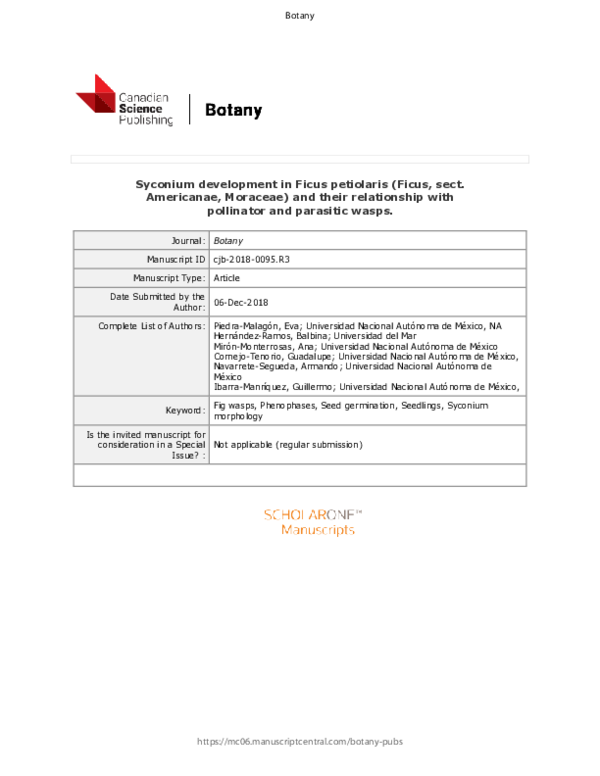 (PDF) Syconium development in Ficus petiolaris (Ficus, sect. Americanae ...