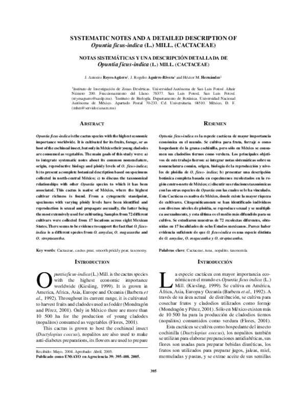 (PDF) Systematic notes and a detailed description of Opuntia ficus ...