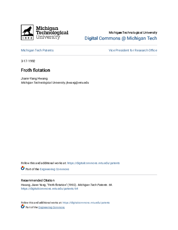(PDF) Froth Flotation