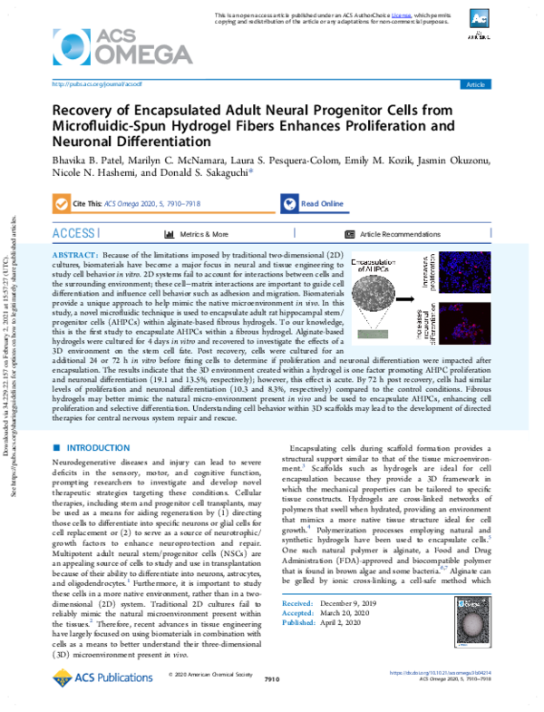 (PDF) Recovery of Encapsulated Adult Neural Progenitor Cells from ...