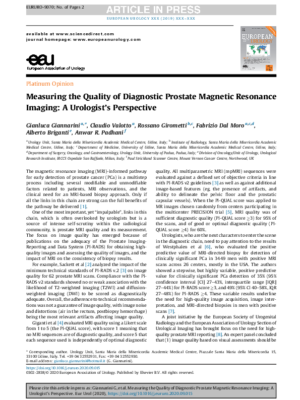 (PDF) Measuring the Quality of Diagnostic Prostate Magnetic Resonance Imaging: A Urologist’s ...