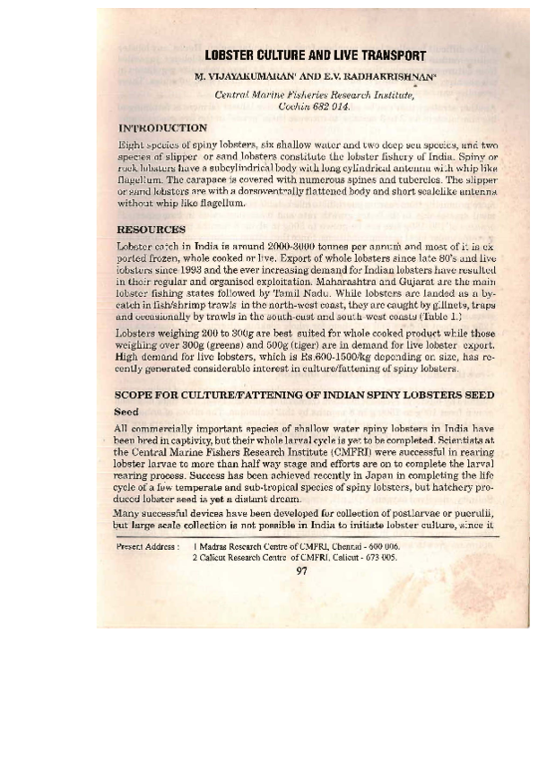 (PDF) Lobster culture and live transport