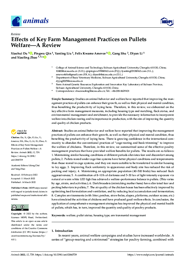 (PDF) Effects of Key Farm Management Practices on Pullets Welfare—A Review