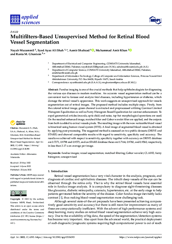 (PDF) Multifilters-Based Unsupervised Method for Retinal Blood Vessel Segmentation