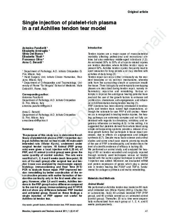 (PDF) Single injection of platelet-rich plasma in a rat Achilles tendon ...