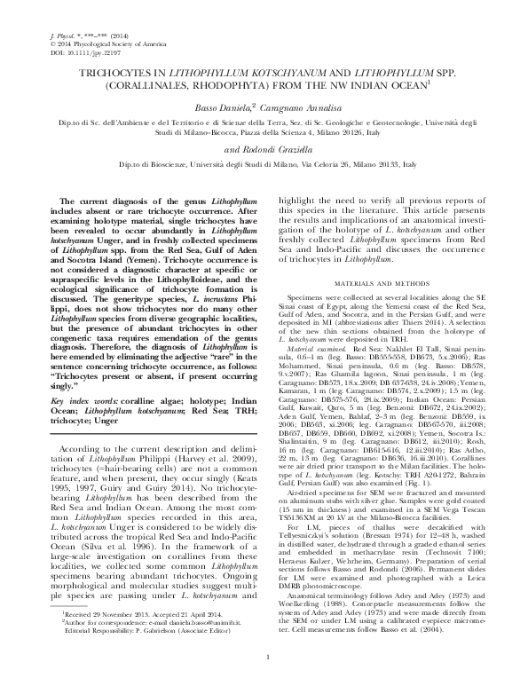 (PDF) Trichocytes in Lithophyllum kotschyanum and Lithophyllum spp ...
