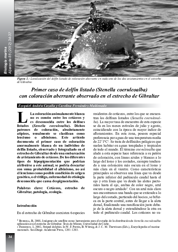 (PDF) Primer caso de delfín listado (Stenella coeruleoalba) con ...