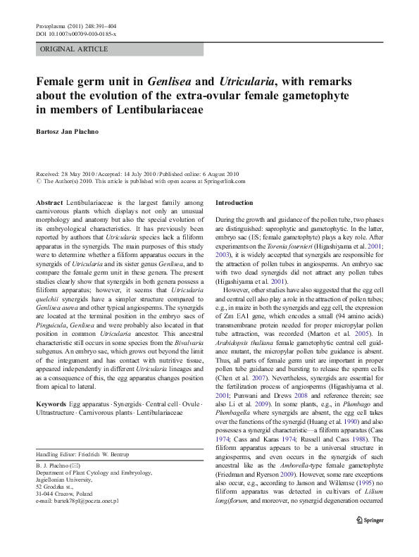 (PDF) Female germ unit in Genlisea and Utricularia, with remarks about ...