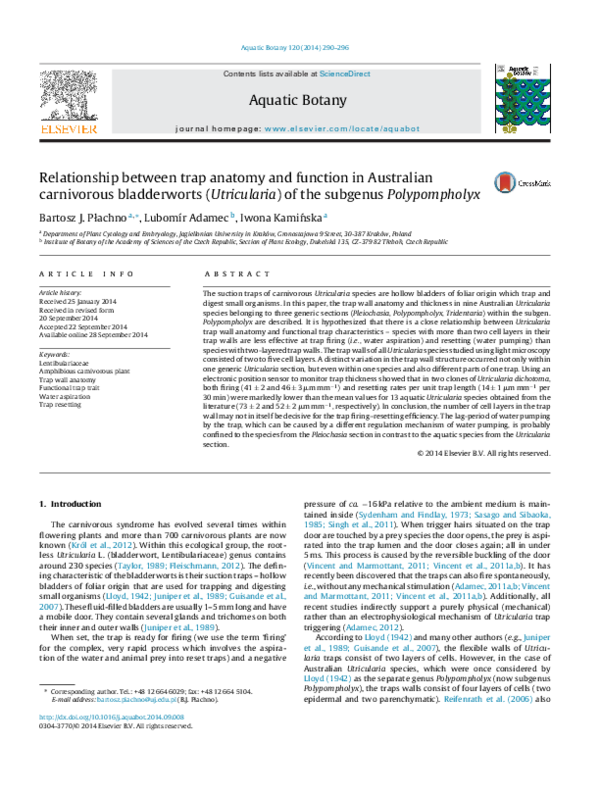 (PDF) Relationship between trap anatomy and function in Australian ...