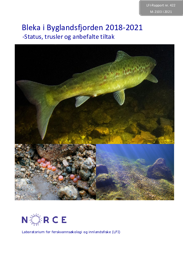 (PDF) Bleka i Byglandsfjorden 2018 - 2021 - Status, trusler og ...