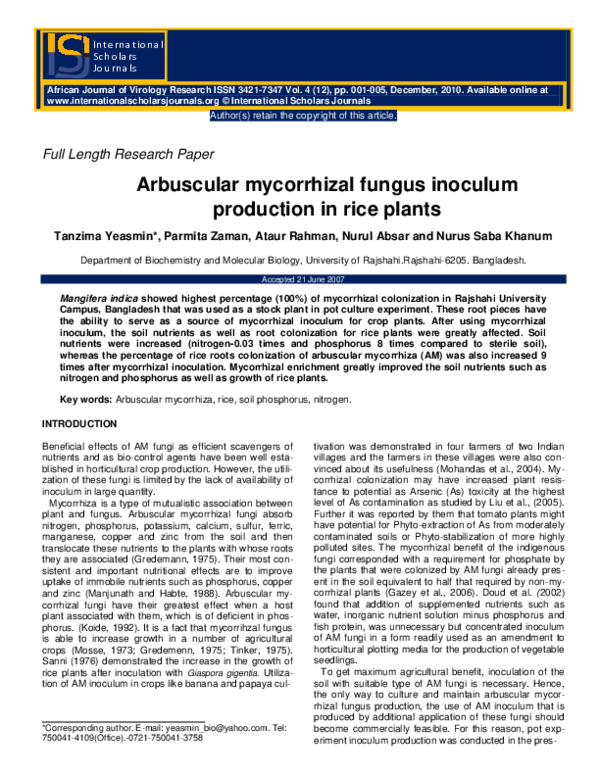 (PDF) Arbuscular mycorrhizal fungus inoculum production in rice plants