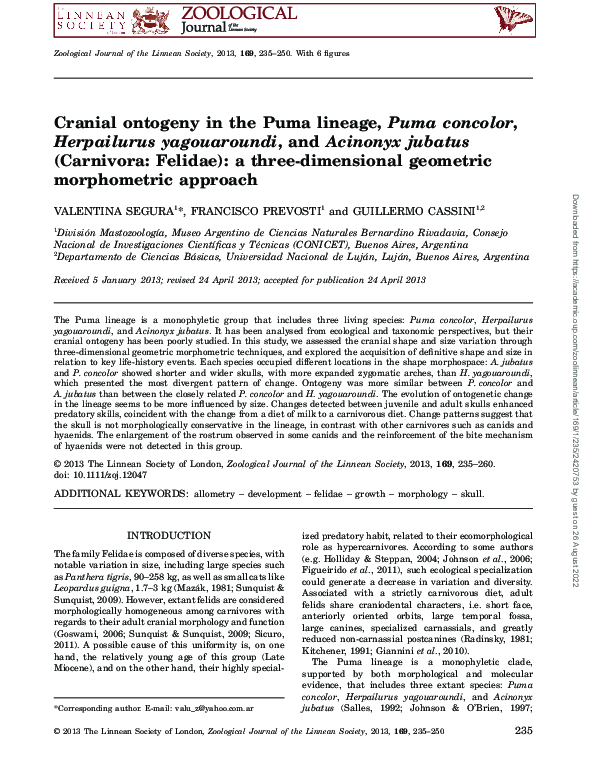(PDF) Cranial Ontogeny in Puma Species: 3D Morphometric Insights
