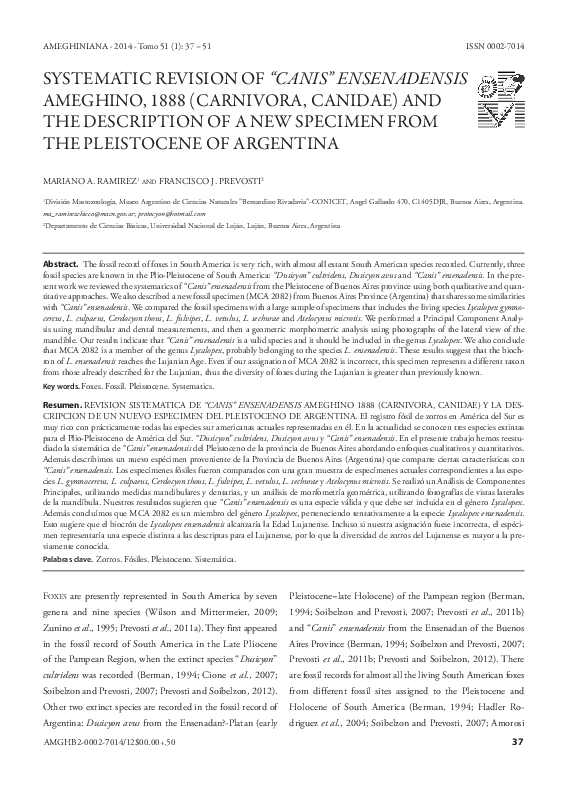 (PDF) Systematic Revision of “Canis” Ensenadensis Ameghino 1888 ...