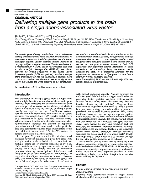 (PDF) Delivering multiple gene products in the brain from a single ...