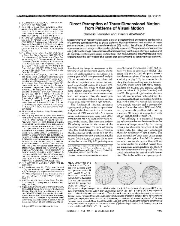 (PDF) Direct perception of three-dimensional motion from patterns of ...